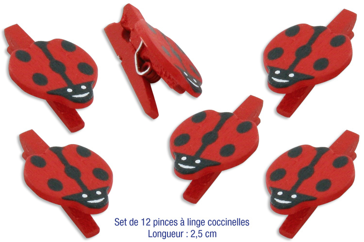 Set de 12 mini-pinces à linge coccinelles