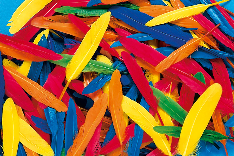 Plumes indiennes multicolores - Environ 120 plumes - Plumes - 10 Doigts