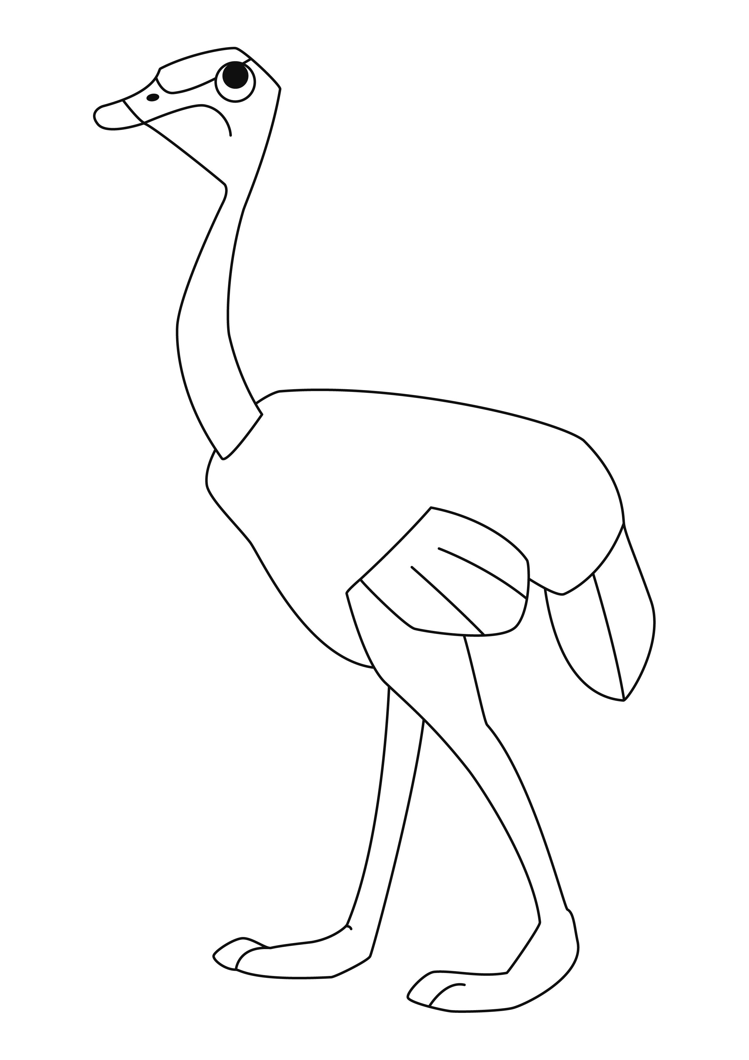 Coloriage à imprimer - Coloriages animaux : Autruche 02 - 10 Doigts