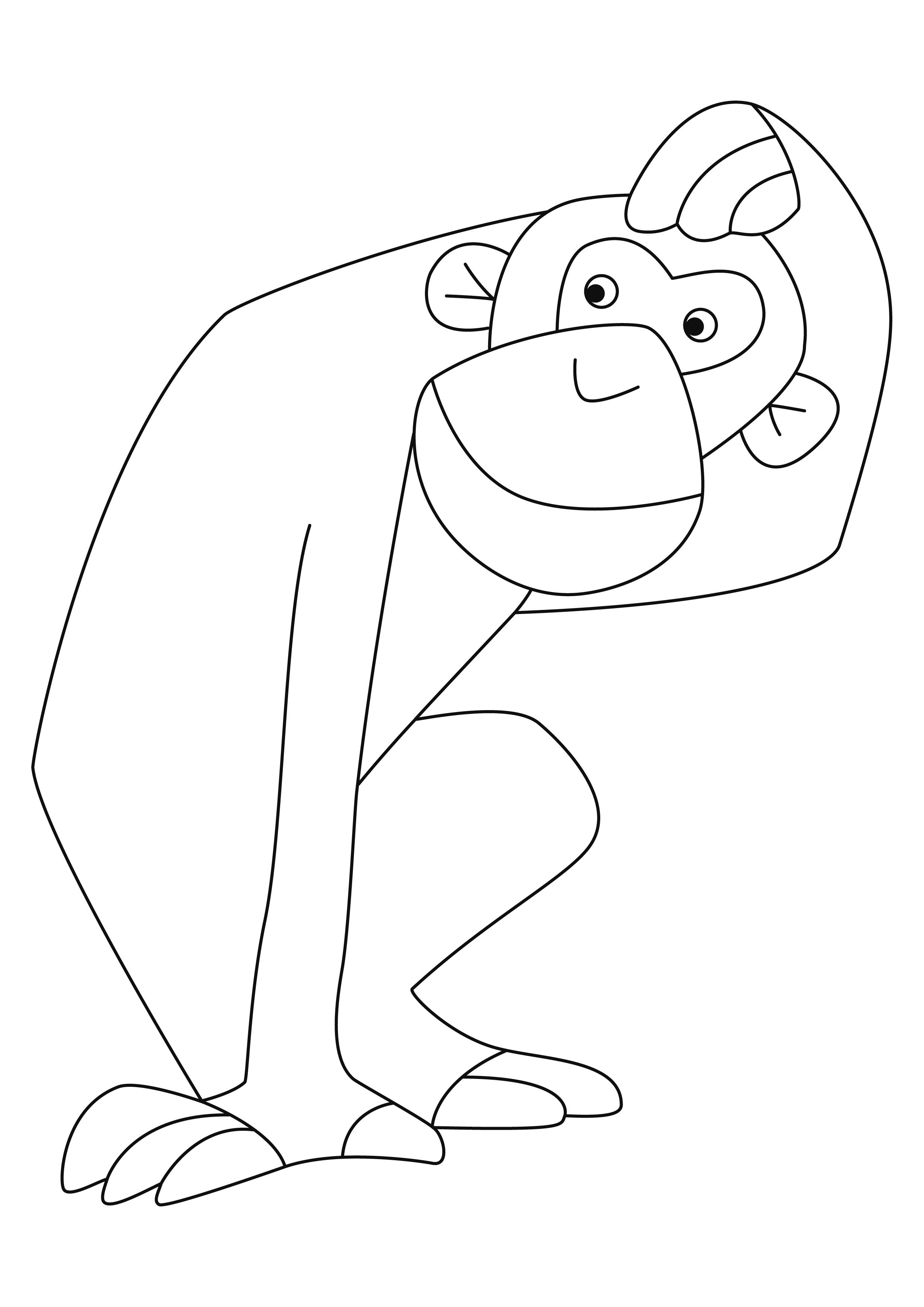 Coloriage à imprimer - Coloriages animaux : Singe 11 - 10 Doigts