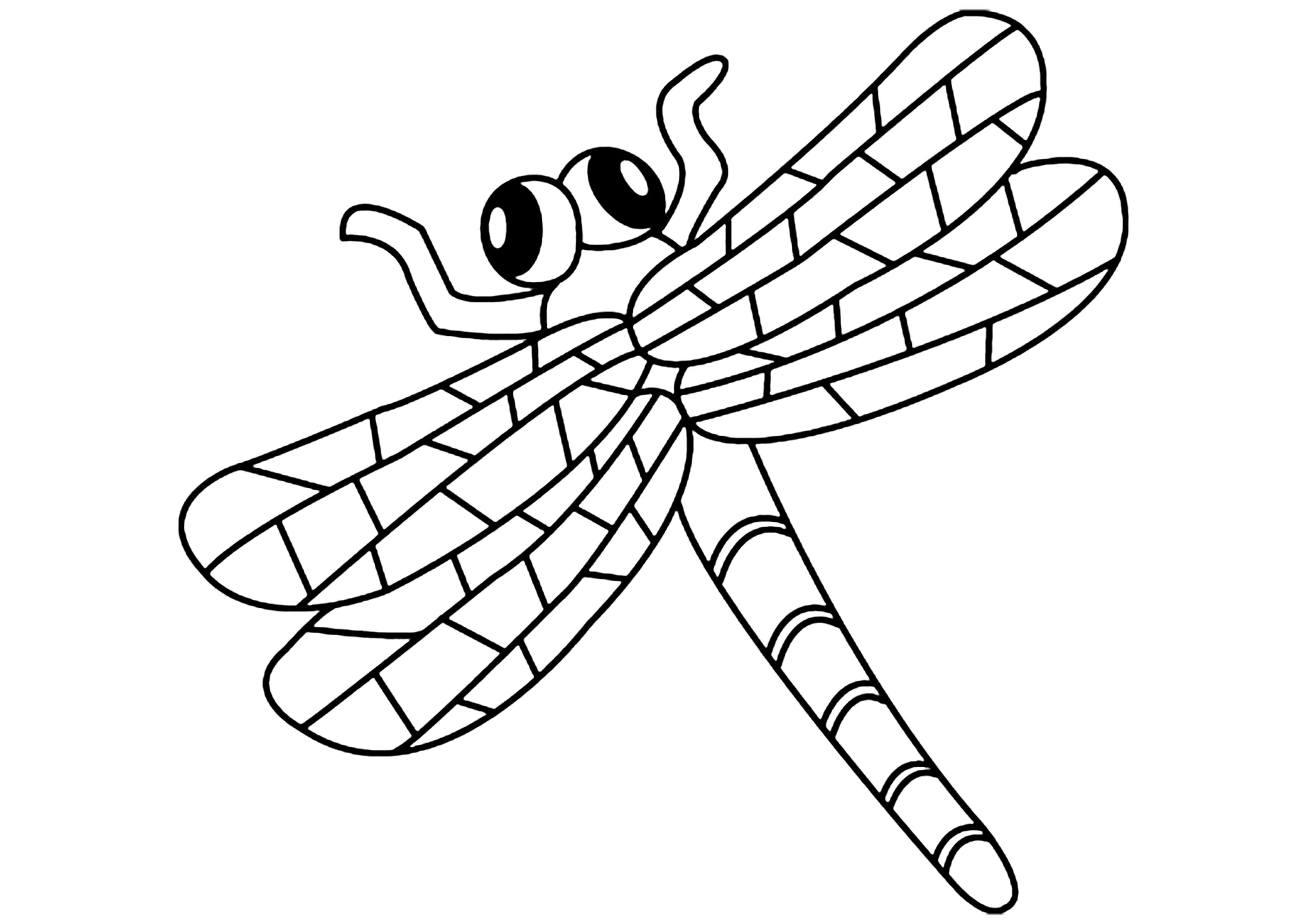 Coloriage à imprimer : - Coloriages animaux : Libellule 02 - 10doigts