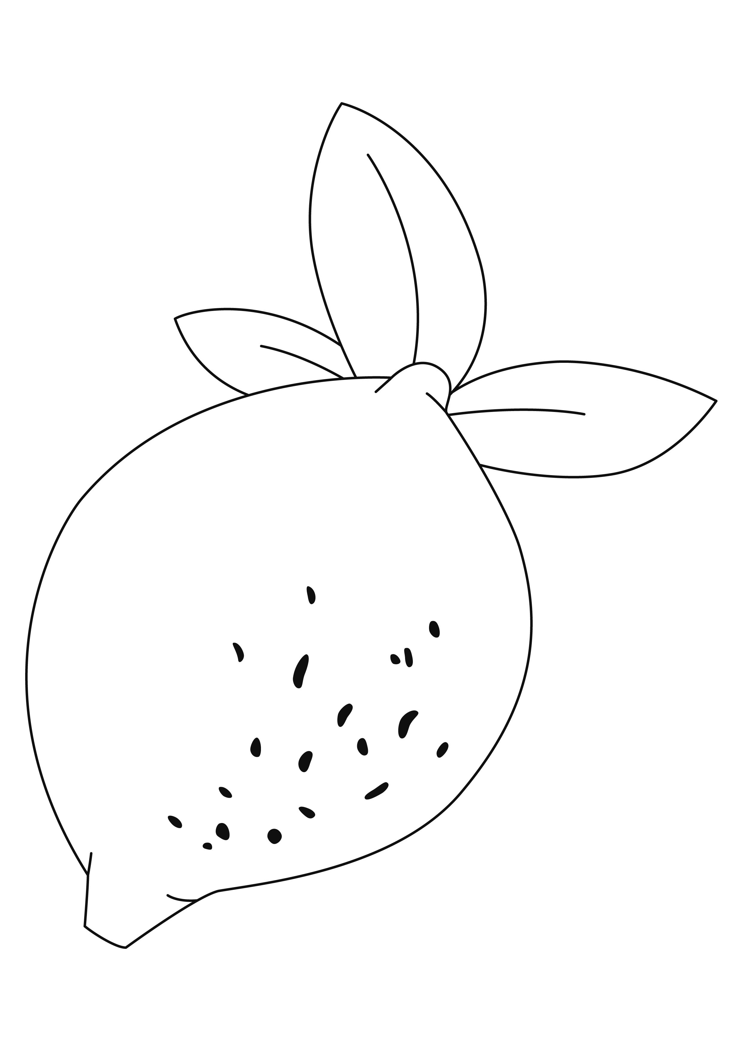 Coloriage à imprimer - Coloriages fleurs, fruits et légumes : Citron 01 ...