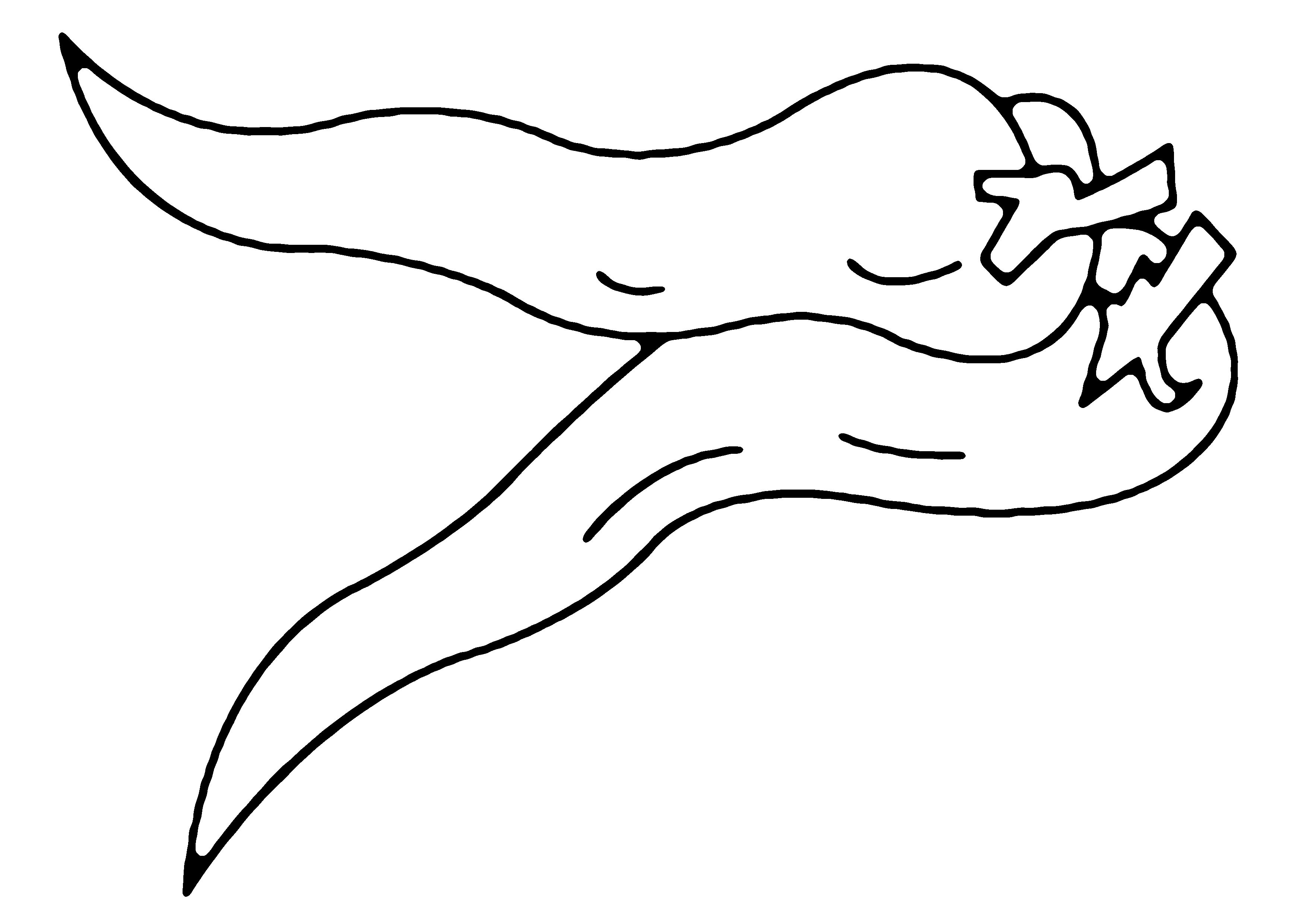 Coloriage à imprimer - Coloriages fleurs, fruits et légumes : Piments ...