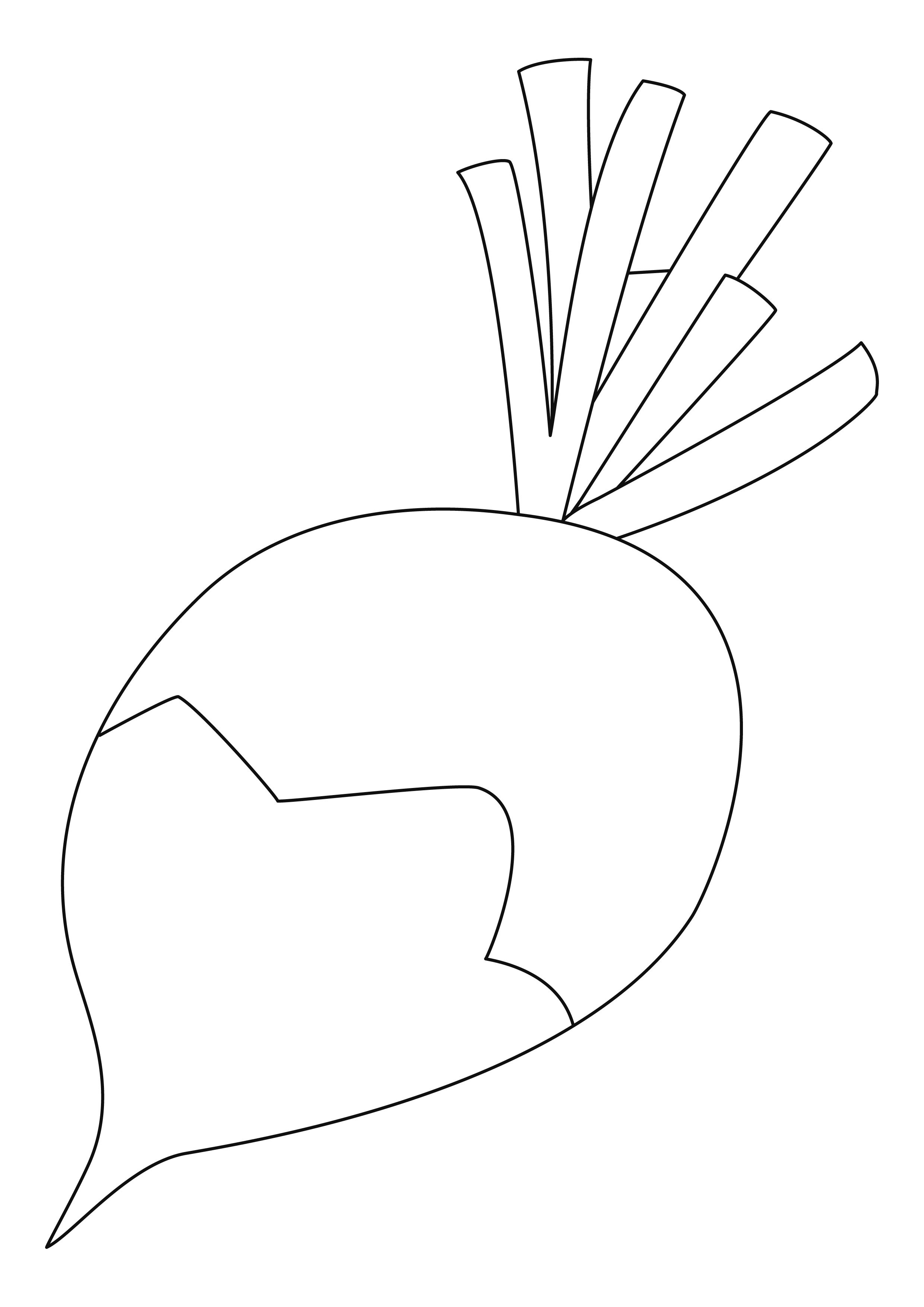 Coloriage à imprimer : - Coloriages fleurs, fruits et légumes : Radis ...