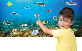 Gommettes, stickers - Produits - 10 Doigts