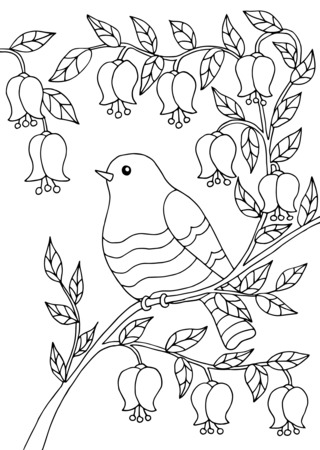 Coloriage - Coloriages animaux - Coloriages animaux volants - activités ...