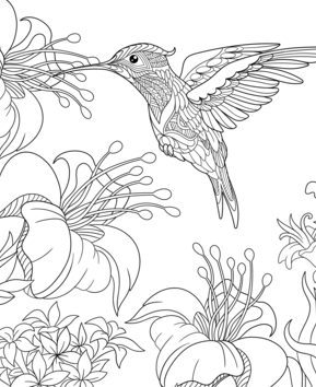 Coloriage - Coloriages animaux : Animaux-volants11 - 10 Doigts